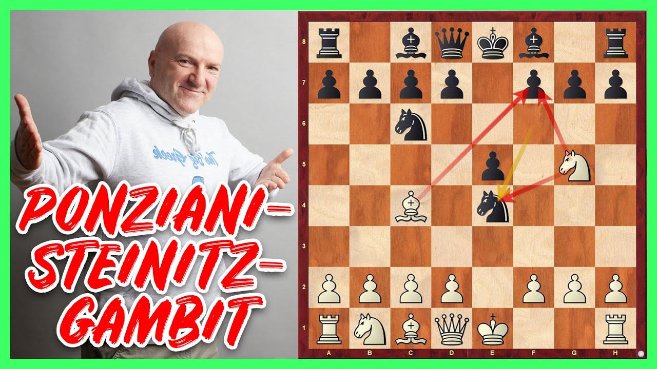 Das Ponziani-Steinitz-Gambit || Ist das Schach oder kann das weg? - YouTube