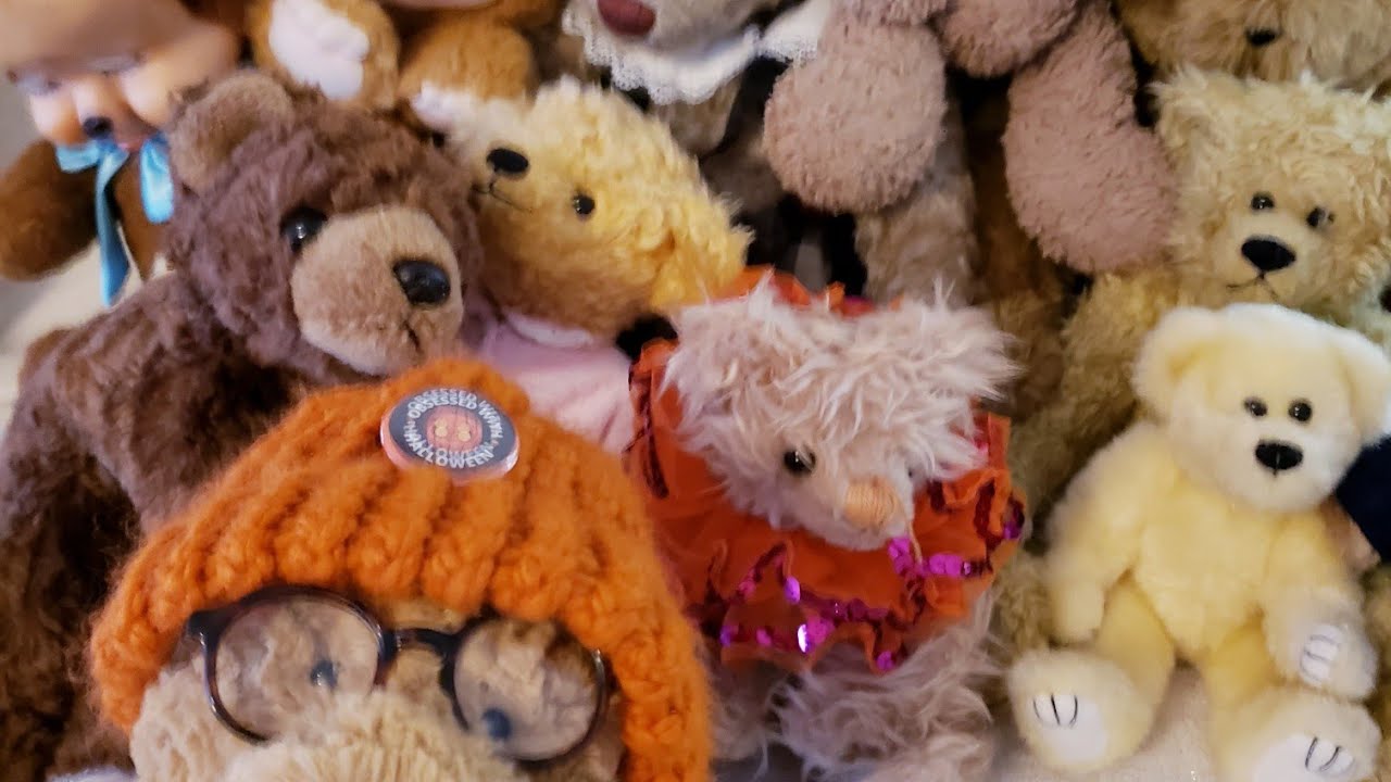My Teddy Bear Collection 🧸 Vintage & Thrifted stuffed bears and plush ...