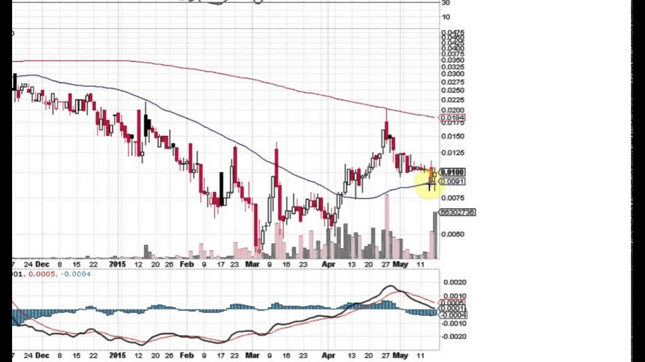 PZOO | Pazoo, Inc. | Video Chart for 5/18/15 - YouTube