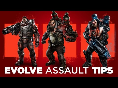 Evolve Assault