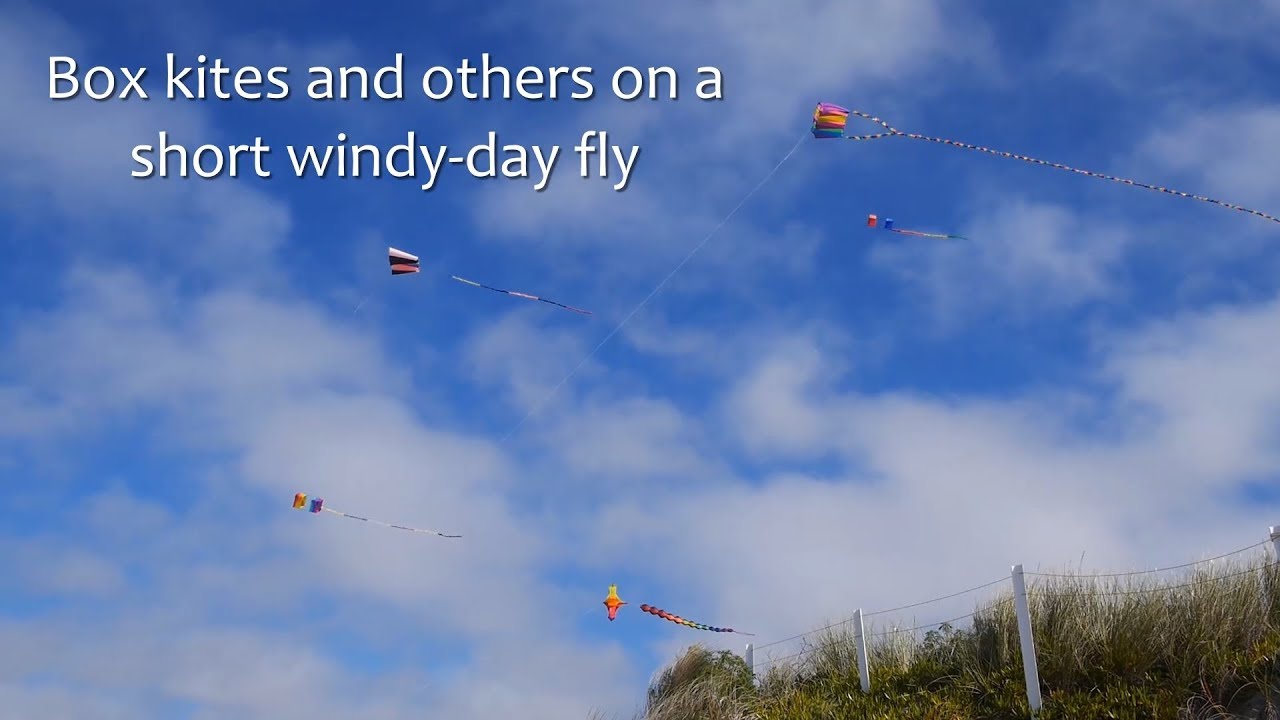 Box kites and others on a short windy-day fly - YouTube