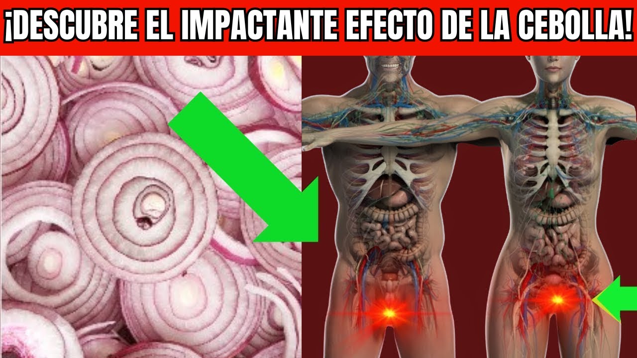 ¡Increíbles beneficios de comer cebollas crudas todos los días! - YouTube