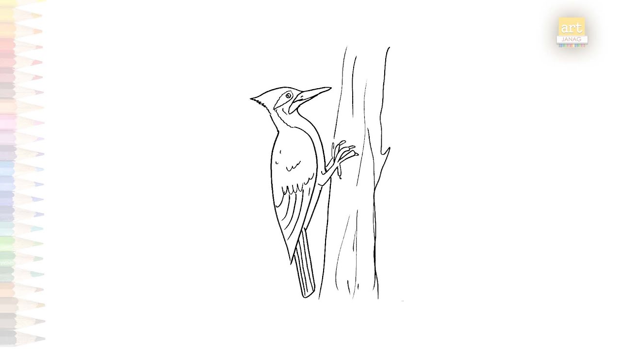 Woodpecker drawing easy | Birds drawing tutorial | How to draw A ...