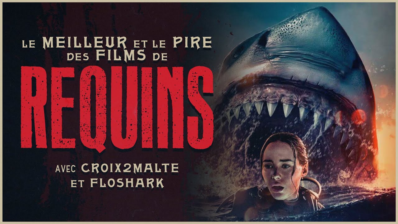 Les films de requins : Rétrospective avec @floshark & @croiX2malte ...