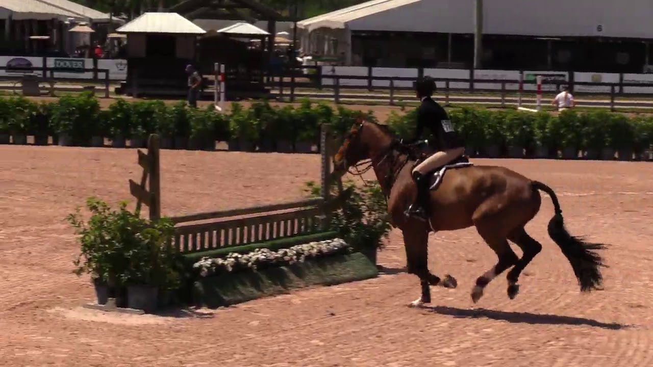 Nouveau Riche III & Morgan Rosia 15-17 Wef 11 - YouTube