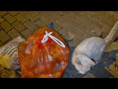 HADİ BİSMİLLAH  HERŞEY ÇOK GÜZEL OLSUN ALLAHIM..🤲❤️