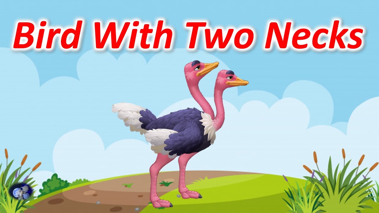 Bird With Two Necks | Kids Short Story | Moral story | Panchatantra ...