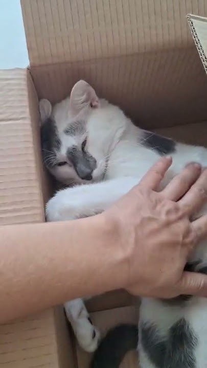 ahhh gente que neném - YouTube