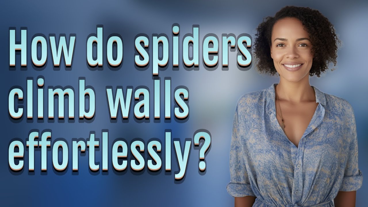 How do spiders climb walls effortlessly? - YouTube