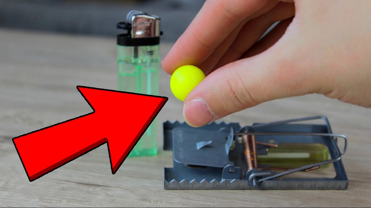 EXPERIMENT - Mausefalle vs Paintballkugel und Feuerzeug | Explodiert es ...