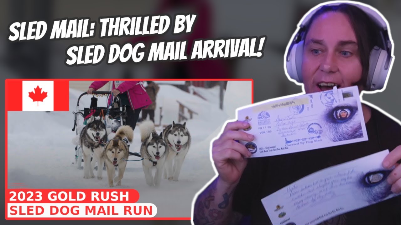 2023 Gold Rush Sled Dog Mail Run | Australian Reacts | AussieTash - YouTube