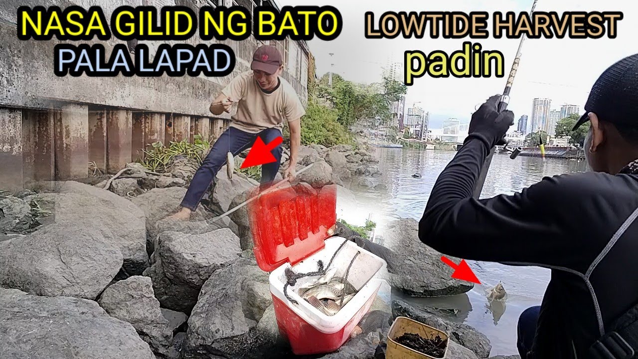 NASA GILID LANG NG BATO SAGLIT LANG HARVEST KAAGAD KAMI - YouTube