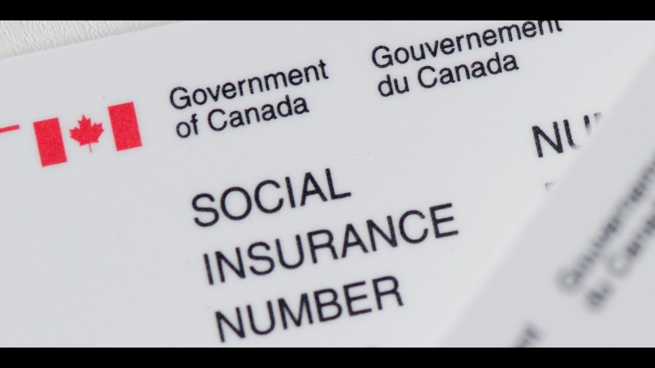 How To Apply For Sin Number Online Step By Step Guidance Canada how-to-apply-for-sin-number-online-step-by-step-guidance-canada