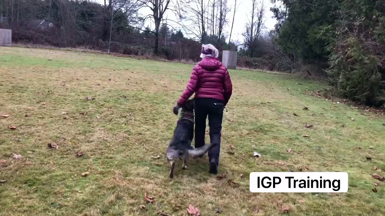 IGP Training with Lynne, Joyce and Sue - YouTube