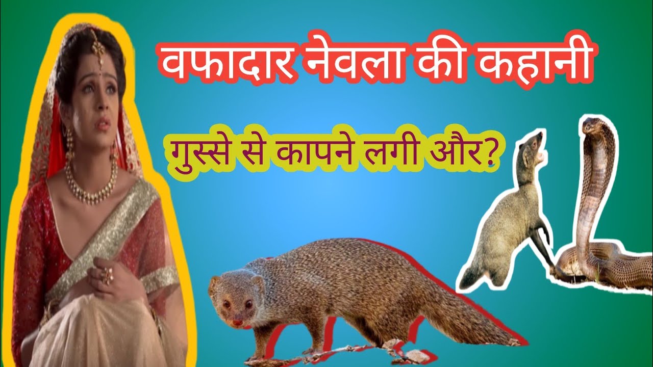 Nevla ki kahani in Hindi | Saap Aur Nevla Ki Kahani | नेवला और बच्चे की ...