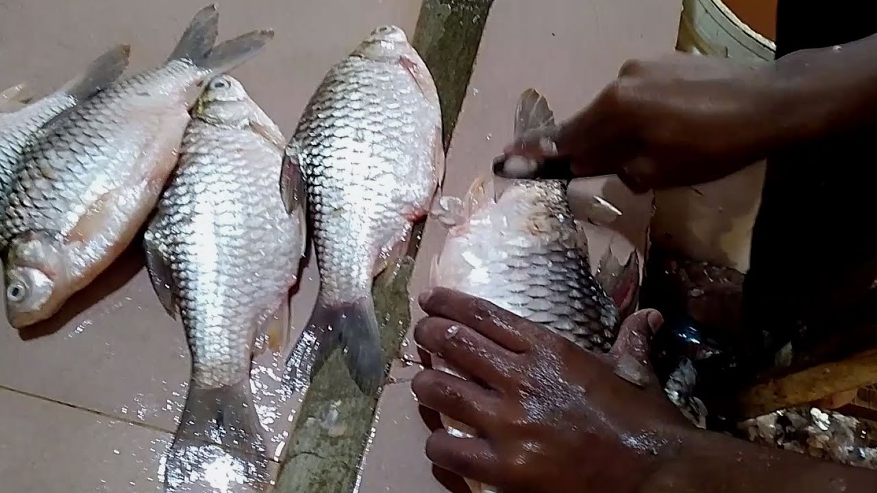 Wow!! Common Silver Barb Fish Cutting Skills | How To Cut Japanese Puti ...