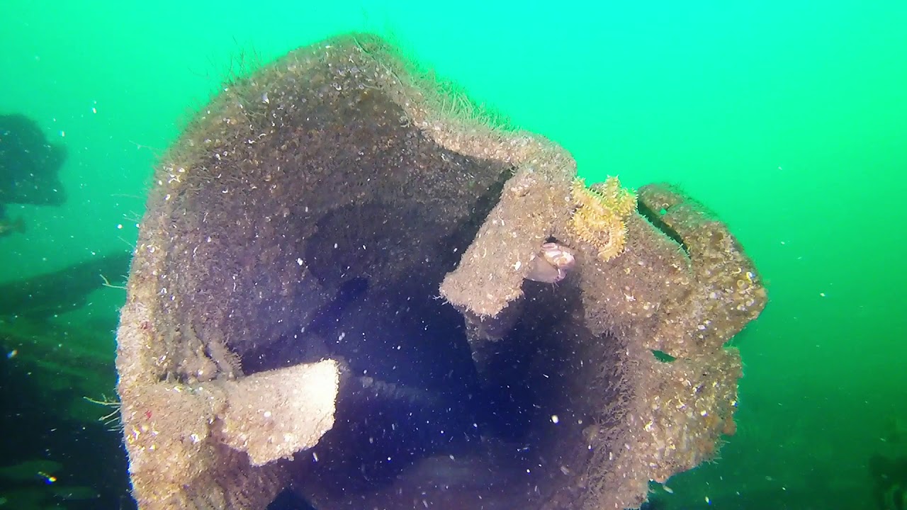 SS Persier wreck dive 9-9-2018 - YouTube