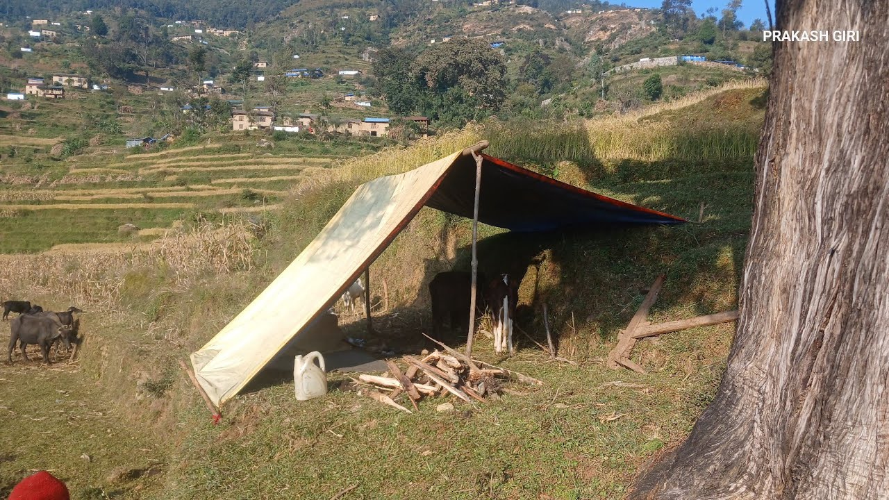 Most Beautiful And Peaceful Himalayan Mountain Village lifestyle ...