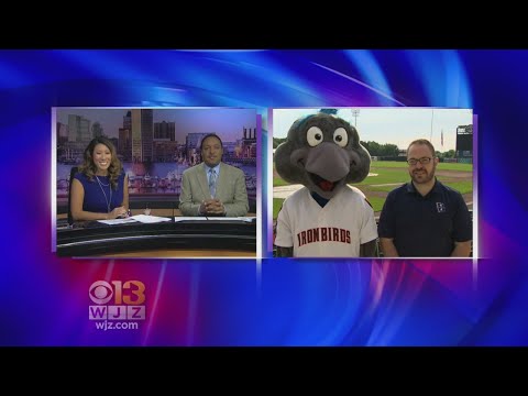 What Is The Mascot For Iron Birds