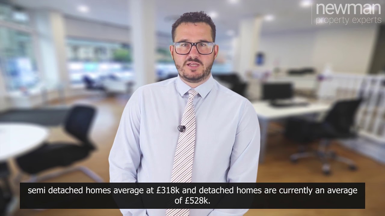 Nathaniel market update August 2019 - YouTube