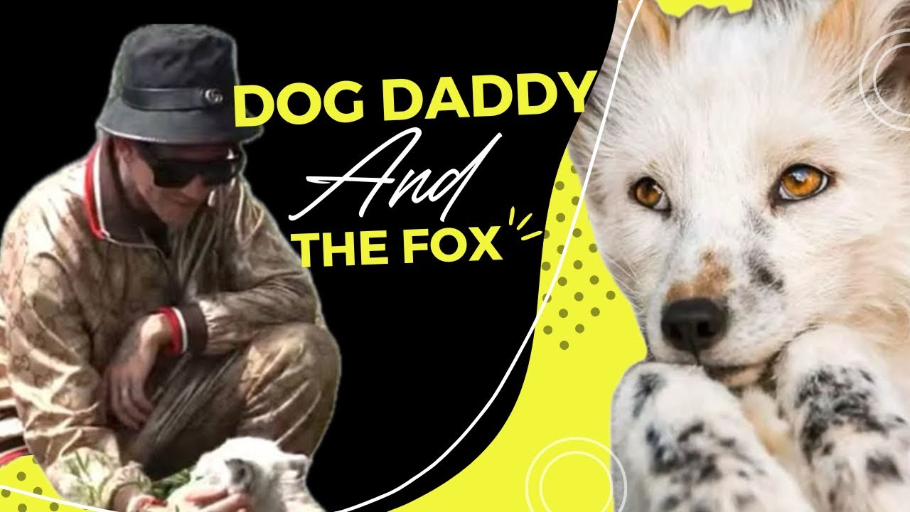 Dog Daddy Playing With A Fox 🦊 - YouTube