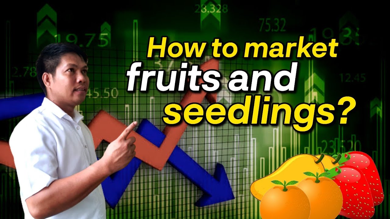 Marketing Fruits and Seedlings - YouTube