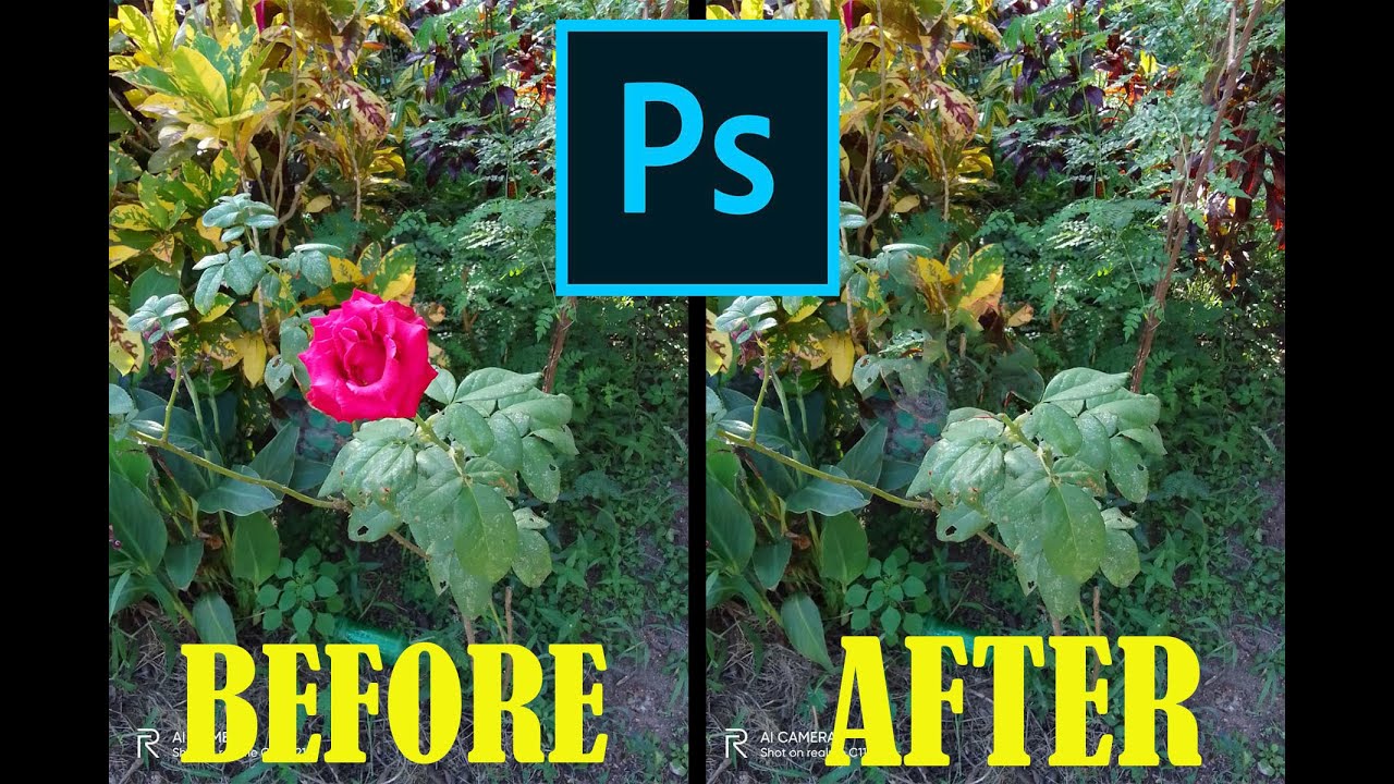 #Shorts Adobe photoshop Short video - YouTube