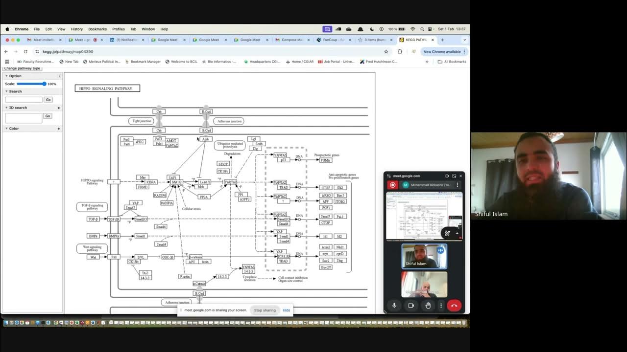 Basic Bioinformatics Course: From Lab to Computer (Day 3 Part 2) - YouTube