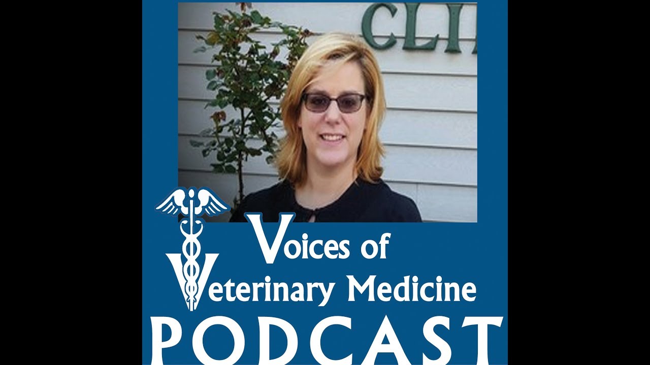 Dr. Shelley Spangler discusses her experiences in shelter medicine ...