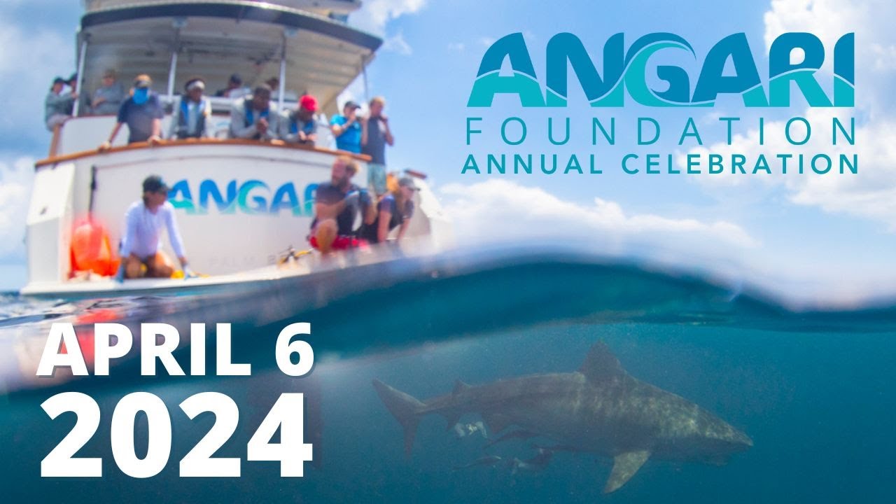 ANGARI Foundation Annual Celebration 2024 | Supporting Youth Marine ...