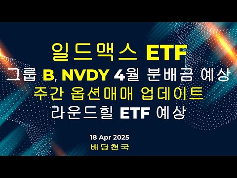 일드맥스 ETF - 그룹 B, 4월 분배금 예상 및 주간 옵션매매 업데이트 (NVDY, PLTY, FBY, CONY, MSTY, TSLY, SMCY, YMAX/G ...