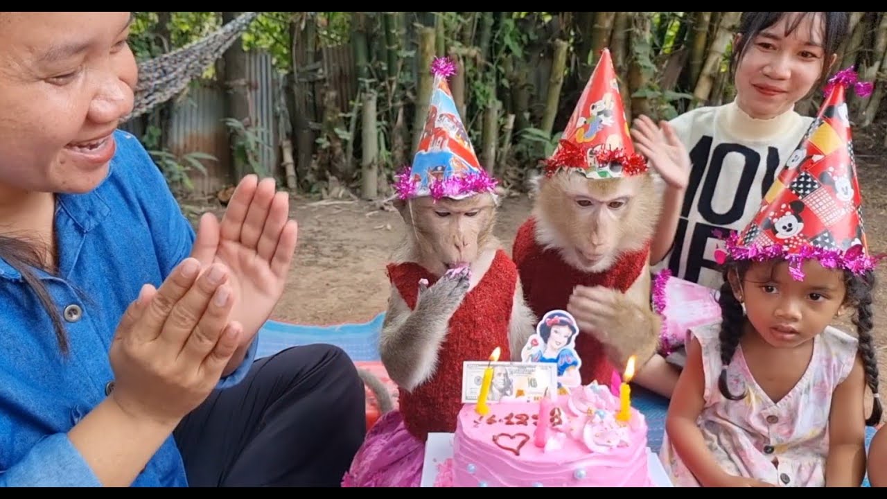 Shally's Happy Birthday 16/12/2023 - YouTube