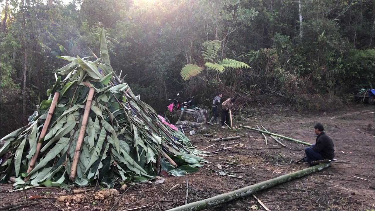 Luaj Teb Ntov Ntoo Yos Hav ZooV - YouTube