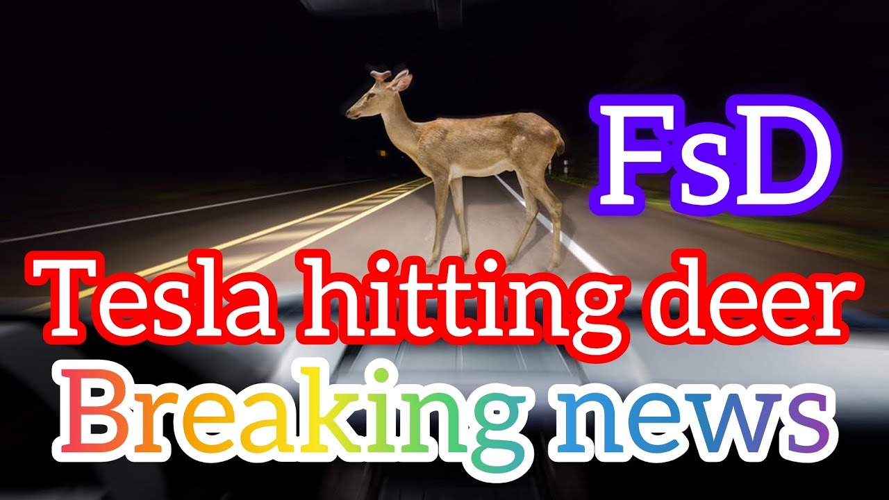 Breaking news: Tesla Model 3 with full self driving supervised hitting ...