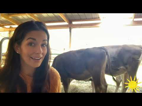 Storytime: Bethany Beiersdorf reads Fresh-Picked Poetry: A Day at the ...