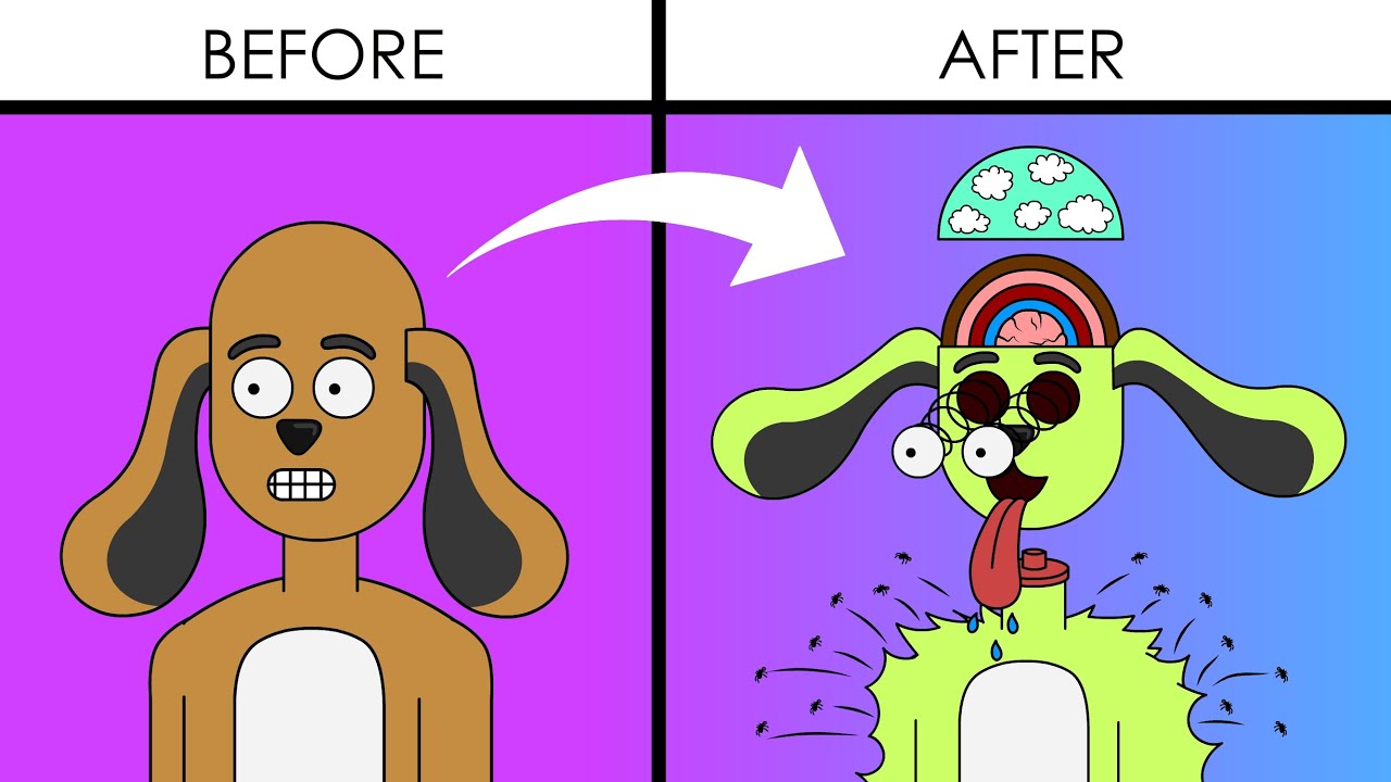 Character Transformation Art l Time Lapse l Adobe Animate - YouTube