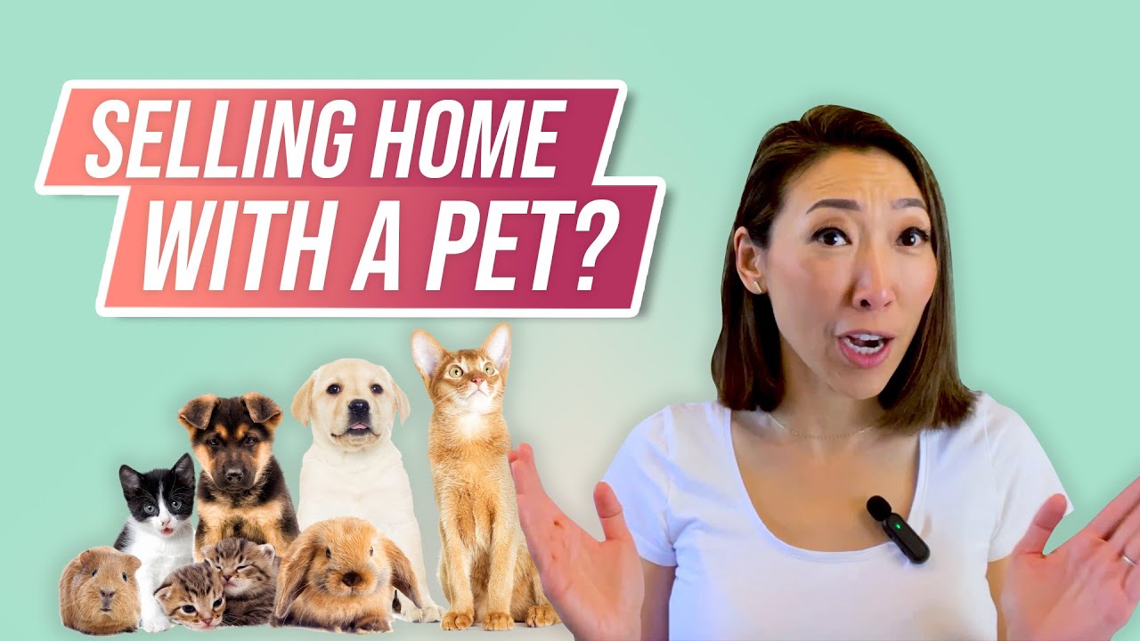 Selling Your Home with a Pet? Here's What You Need to Know! - YouTube