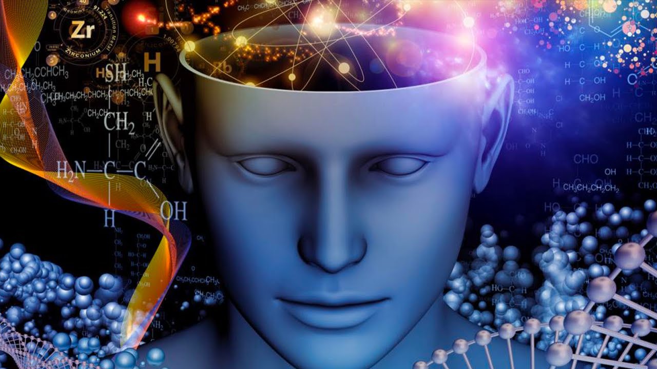 Les secrets de la conscience humaine : le cerveau en miroir ...