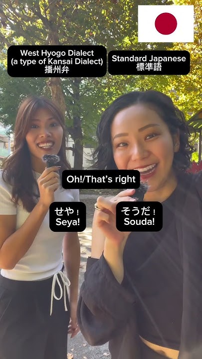 Standard Japanese vs Kansai dialect (West Hyogo ver.) #learnjapanese # ...