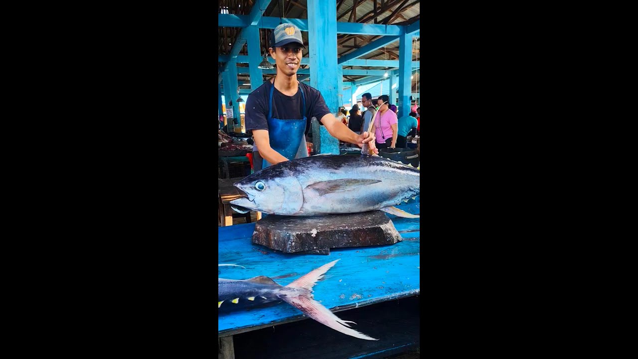 11 Maret 25!! Live Pemotongan Tuna Besar ! Fresh Yellowfin Tuna Cutting ...