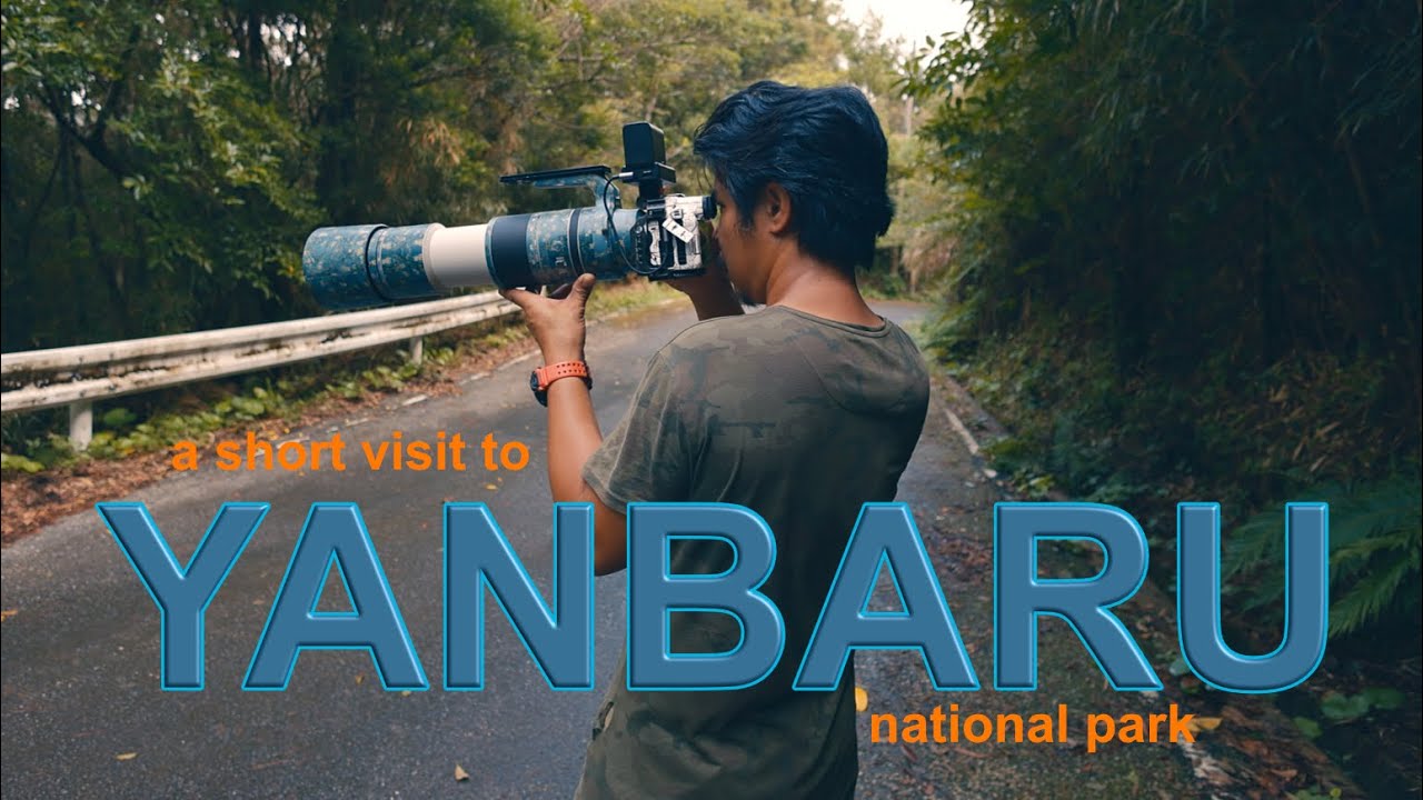 A short trip to Yanbaru National Park Okinawa - YouTube