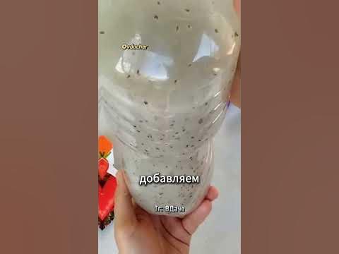 Посев моркови без дальнейшего прореживания и для хорошего урожая - YouTube