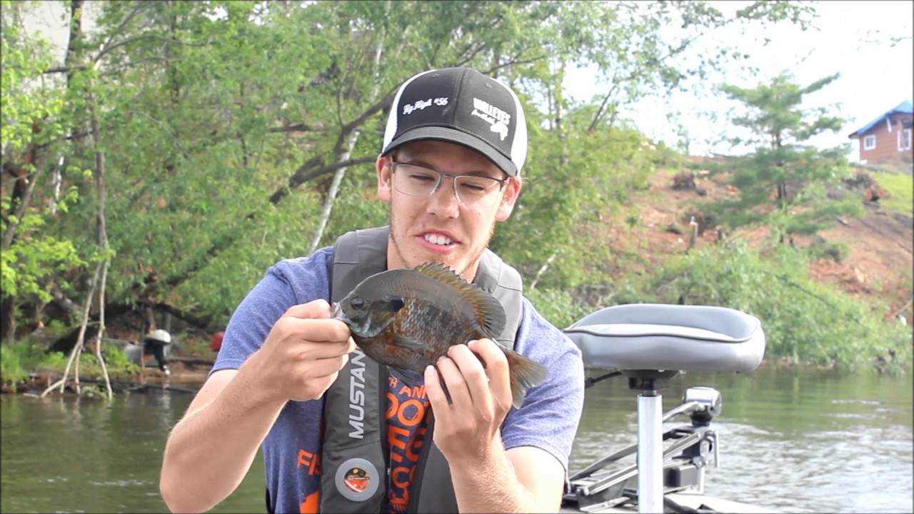 Monster Wisconsin Bluegill - YouTube