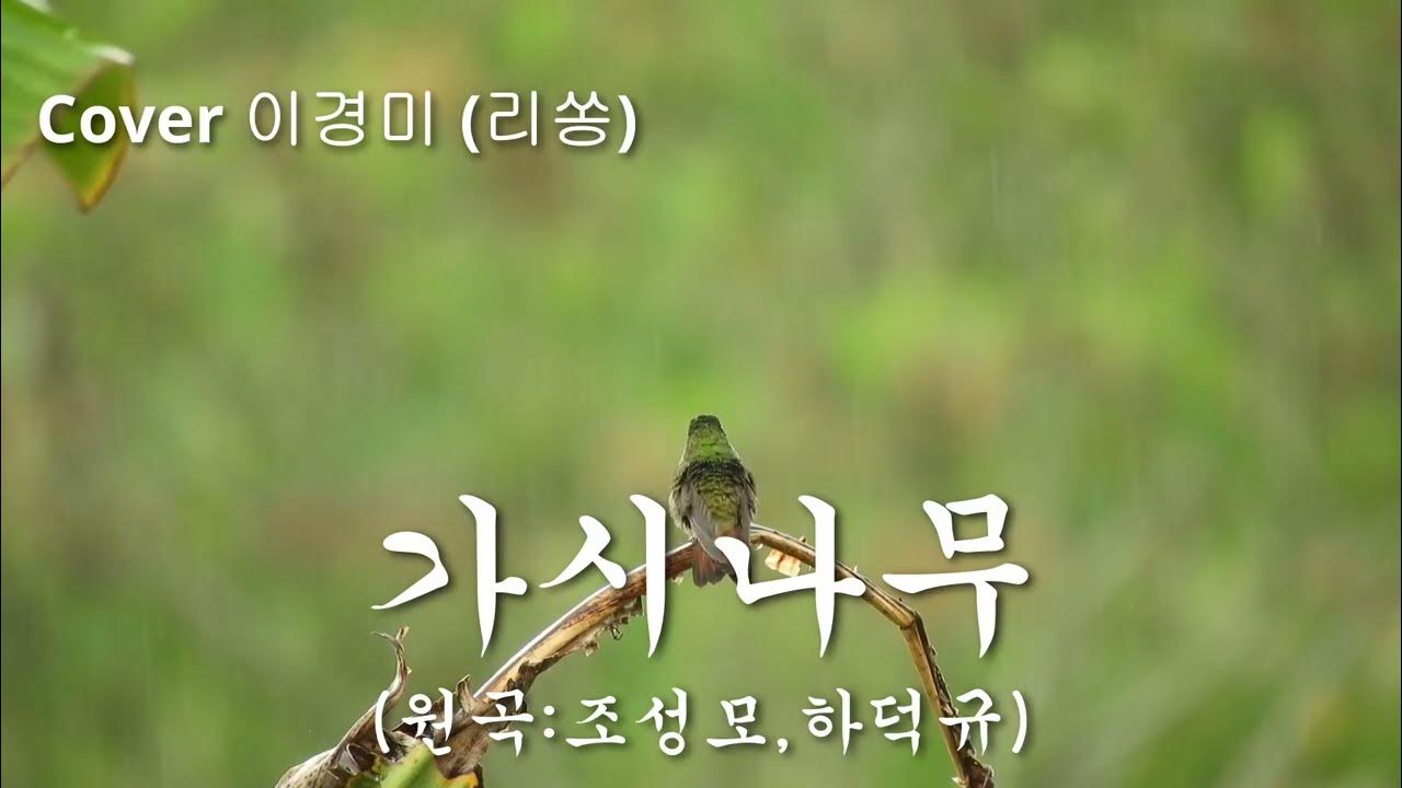 가시나무 시인과촌장 하덕규 조성모 Youtube