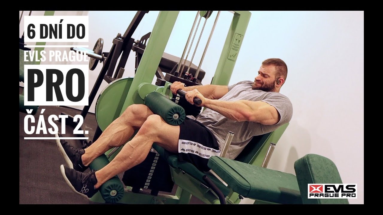 JAN TUREK IFBB PRO - 6 dní do EVLS PRAGUE PRO 2021 - 2. část - YouTube