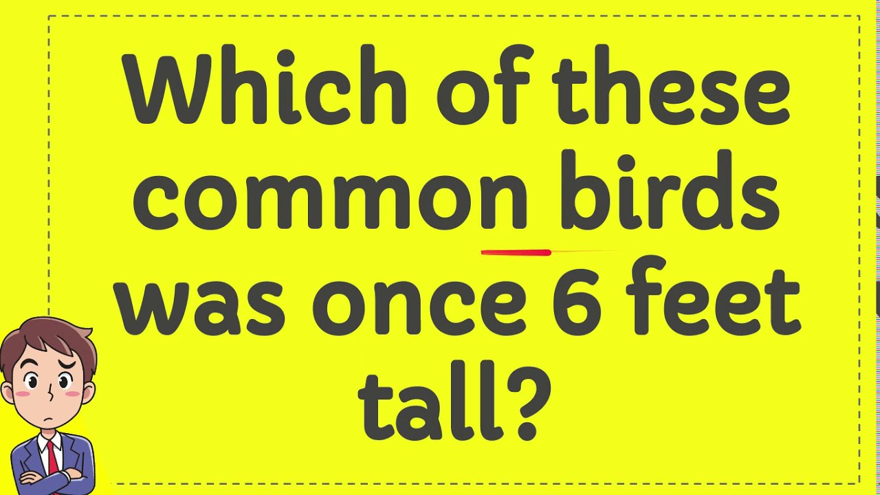 Which of these common birds was once 6 feet tall? - YouTube