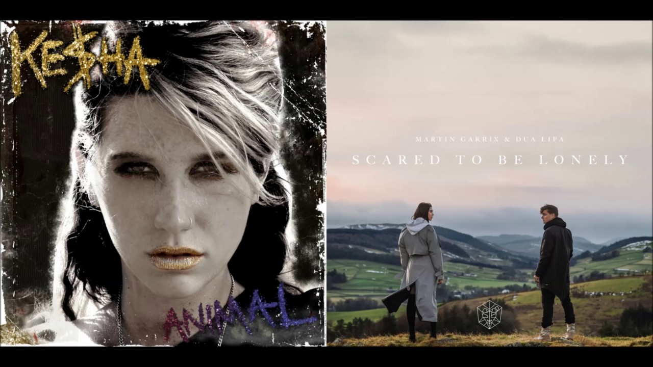 Scared To Kiss n Tell (Mashup) - Ke$ha & Martin Garrix - YouTube