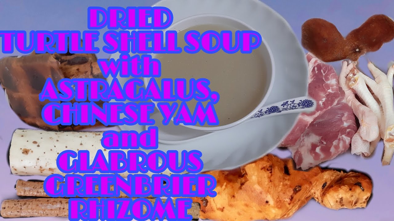 DRIED TURTLE SHELL SOUP with ASTRAGALUS, CHINESE YAM&GLABROUS ...