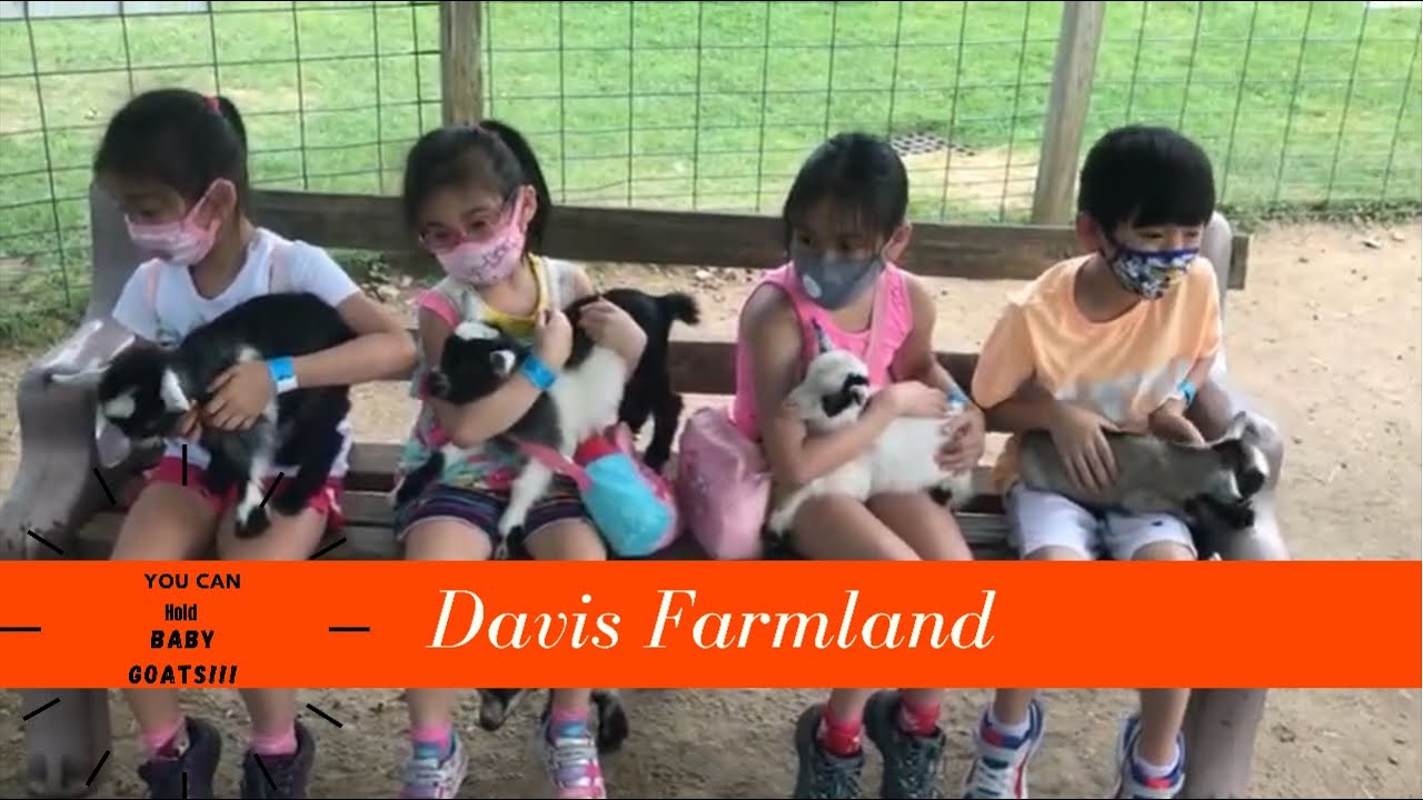 Fun day at Davis Farmland - YouTube
