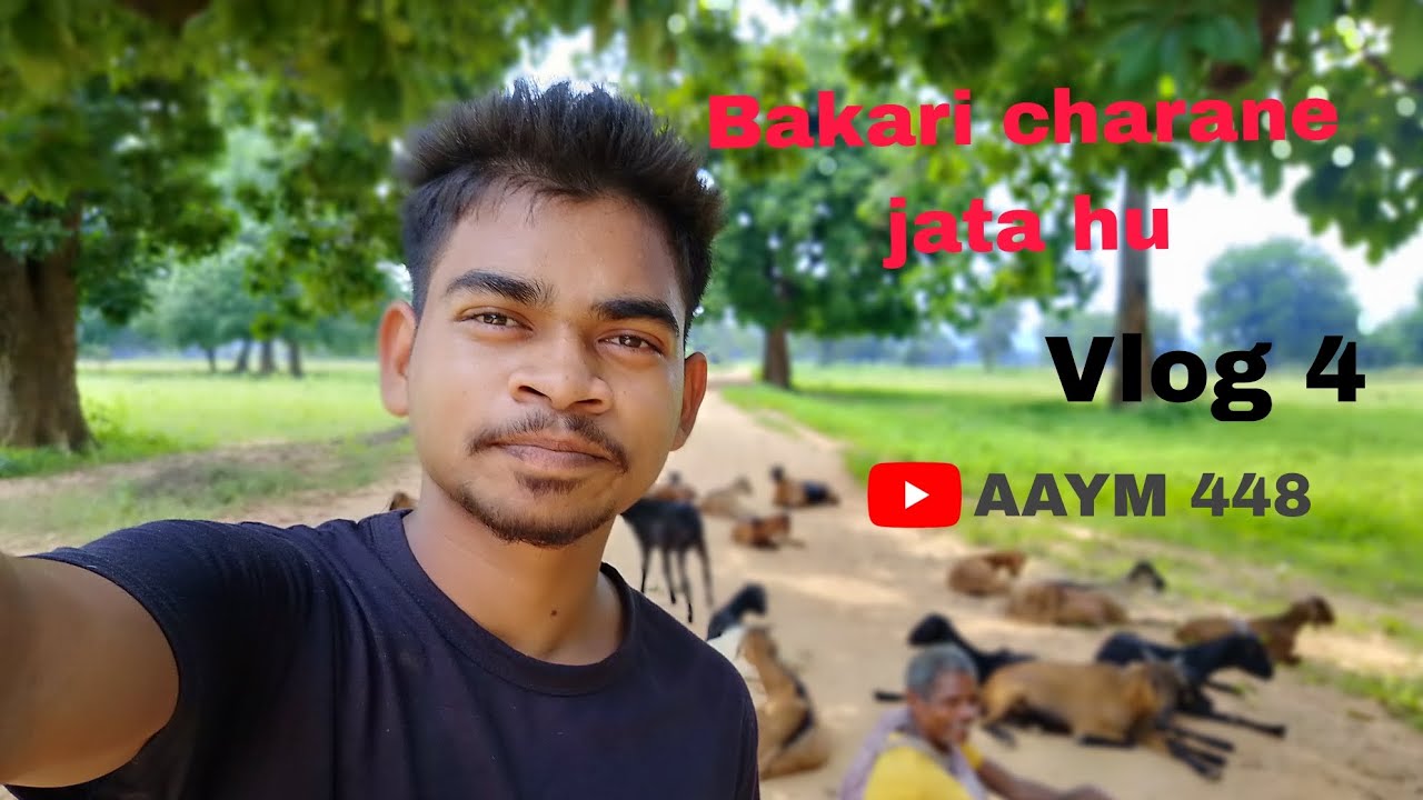 Aap bhi aaiye bakri charane || Vlog 4 || AAYM 448 || - YouTube